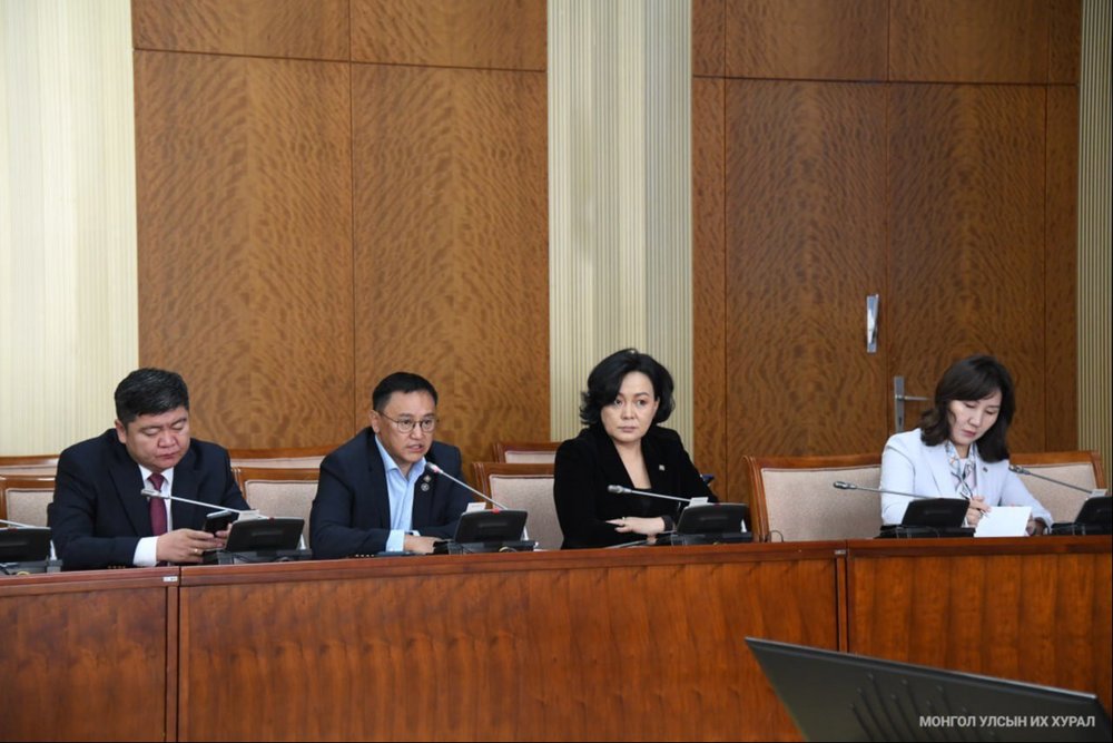 Эмийн үнийн өсөлтийн шалтгаан нөхцөлийг хянан шалгах үүрэг бүхий Хянан шалгах түр хорооны